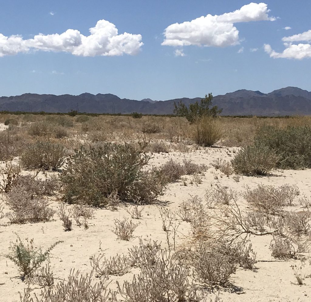 Desert Quartzite: Unraveling Nature's Geological Mysteries